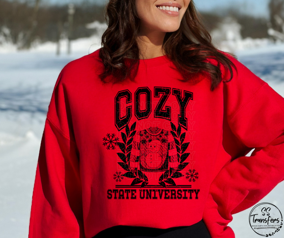 Cozy State University DTF Transfer – SS Transfers